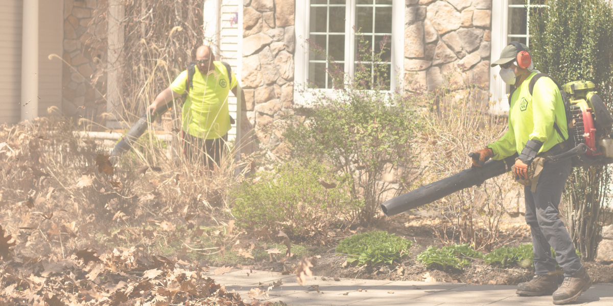 Fall Clean Up Services for Commercial Properties: Why It's Essential ...